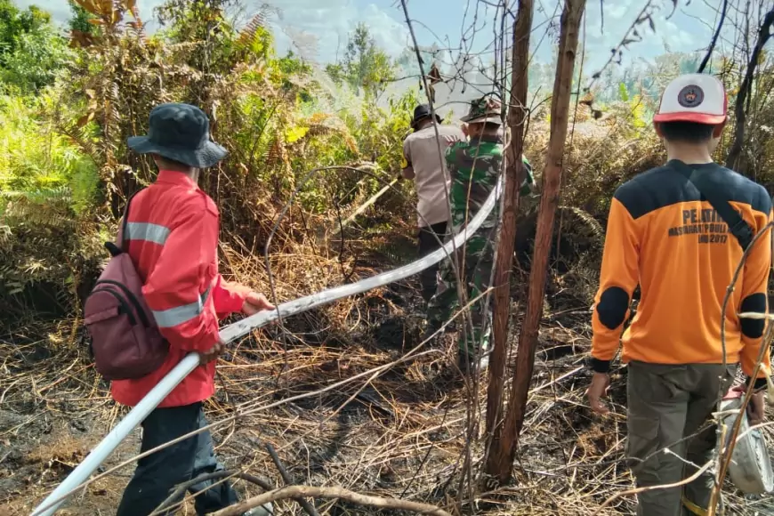 Nusapaper.com: 1,43 Hektare Lahan di Petuk Ketimpun Hangus Terbakar Nusapaper.com: 1,43 Hektare Lahan di Petuk Ketimpun Hangus Terbakar